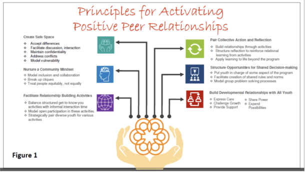 Activate the Power of Peer Relationships | Search Institute